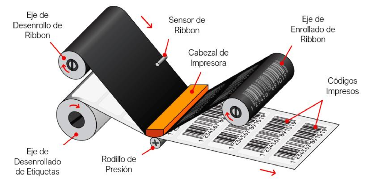 ¿Sabes qué son los ribbons y qué tipos existen? | Etirapid